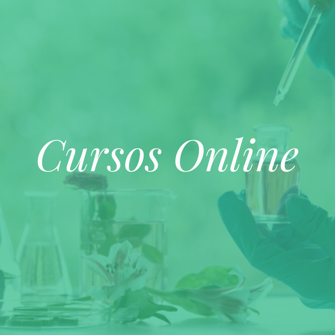 Cursos Y Programas Cosmetica Natural Clara Valenzuela