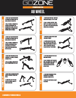 Manuals & Exercise Charts – GoZone Canada