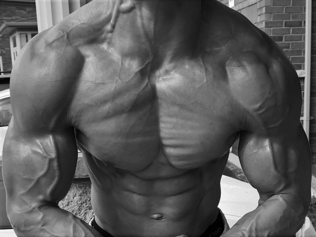 THE SHREDDING BLUEPRINT 1.0#N#– Shredded Kings