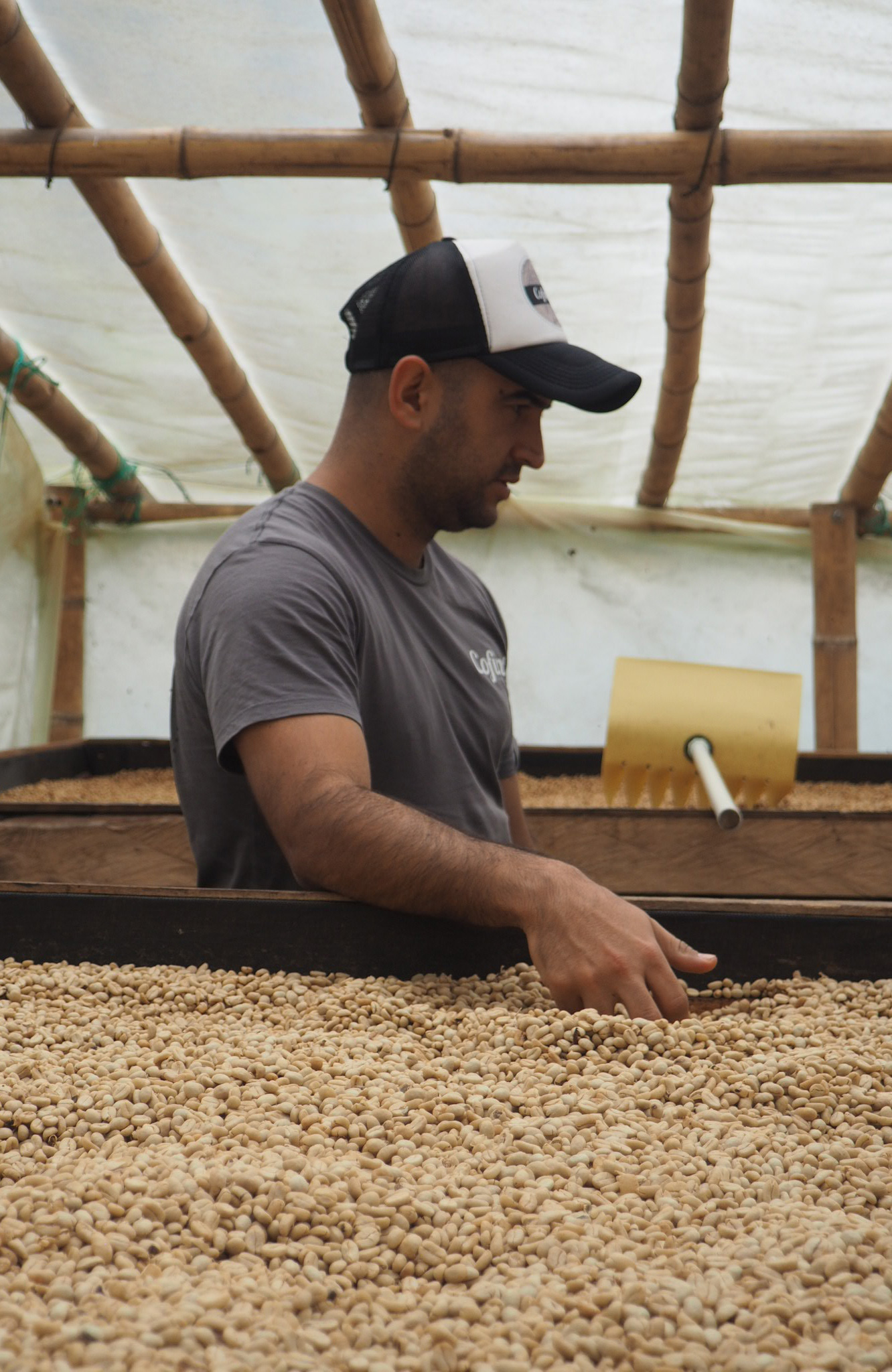 Cofinet – Hammerstone Coffee